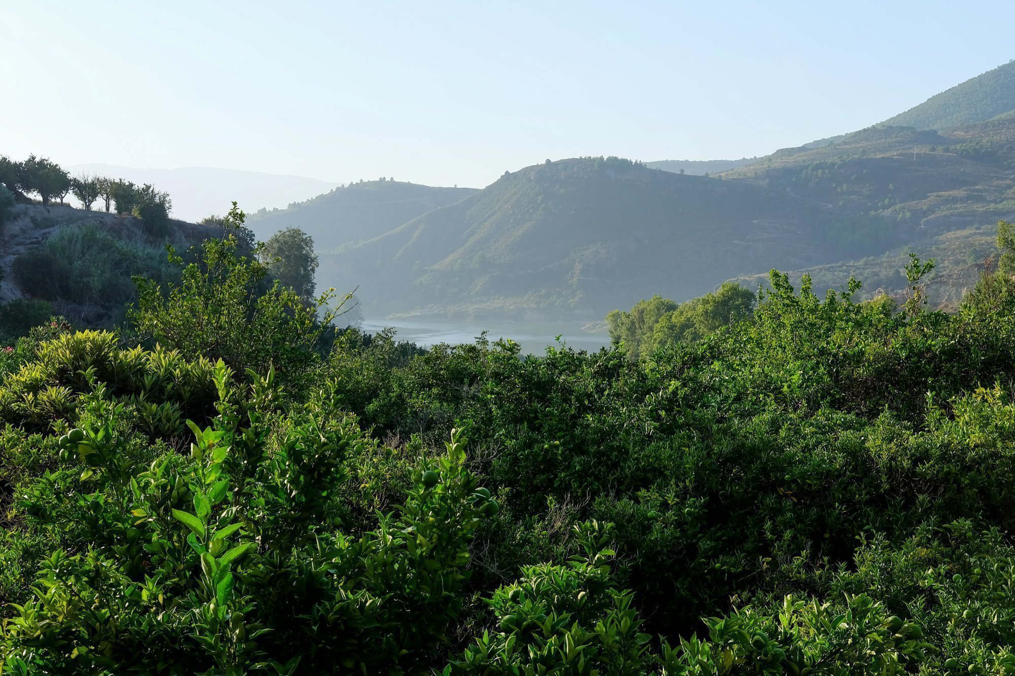 Home - Lecrin Valley Property